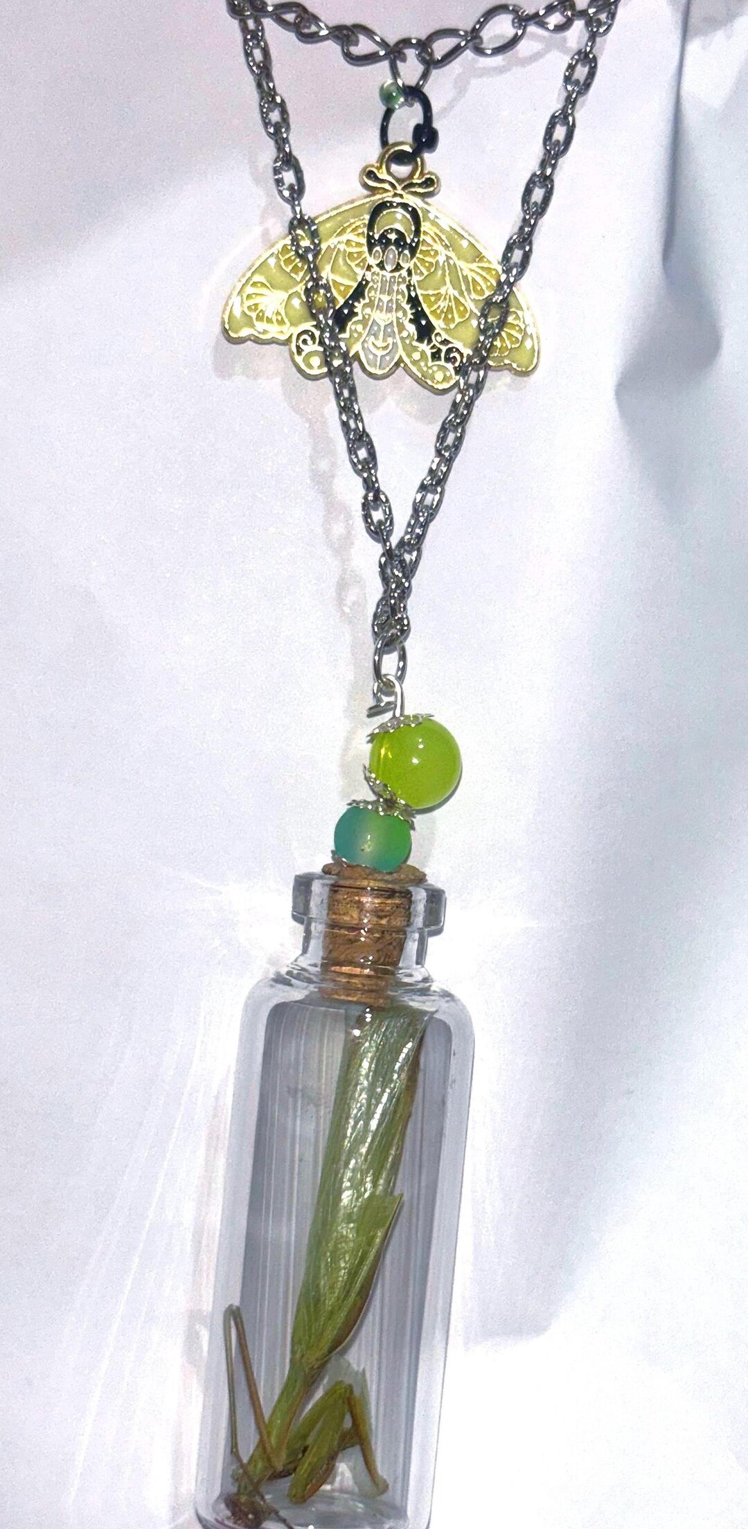 Praying Mantis Bottle Necklace • Oddities & Curiosities - Etsy