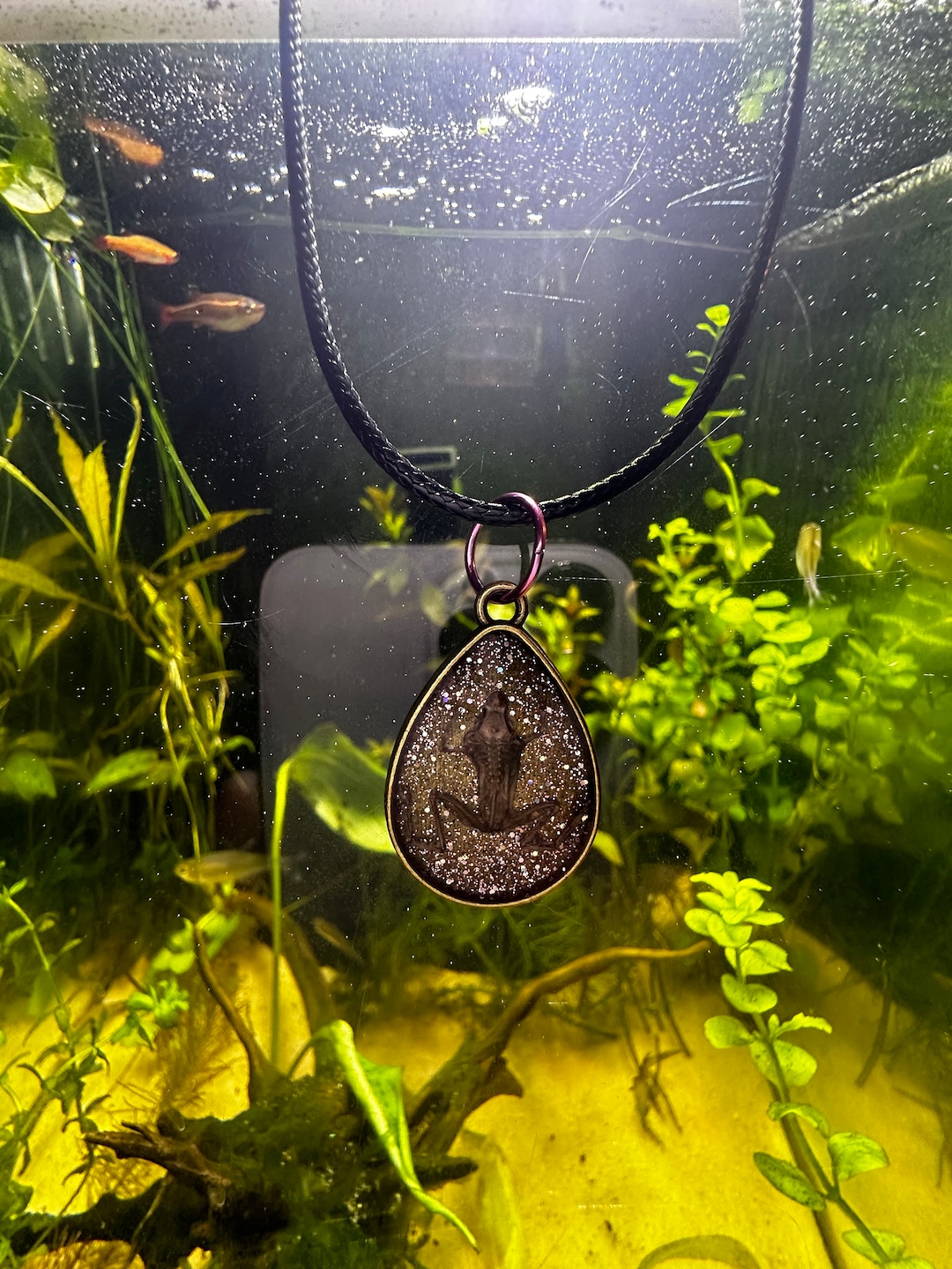 Dwarf African Clawed Frog Necklace Oddity Necklace Fish Taxidermy ...