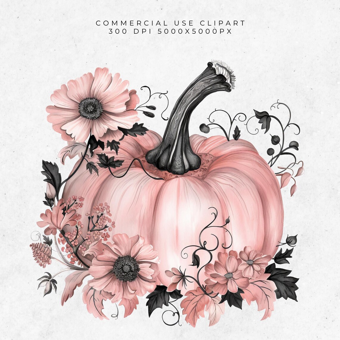 Watercolor Pumpkin Clipart Pink, Pink Pumpkin Clipart, Autumn Floral ...