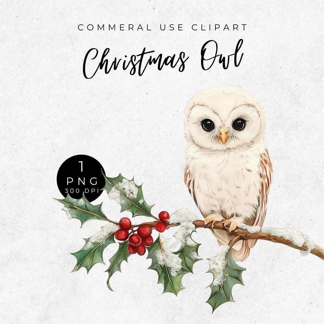 Watercolor Christmas Owl Clipart: Snowy Owl With Holly (PNG Digital ...