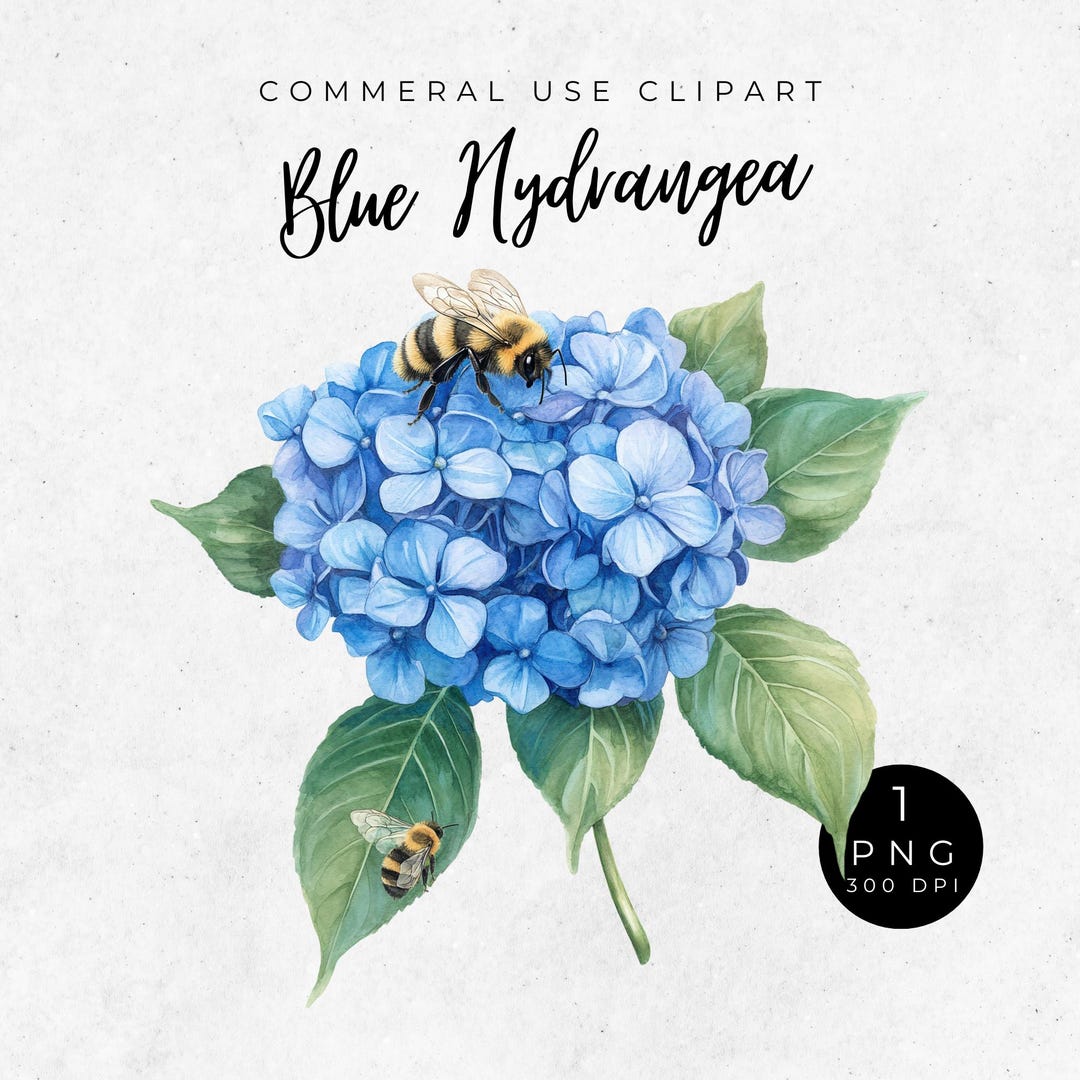 Blue Hydrangea With Bee Clipart, Floral Art, Bee Clipart With Blue Hydrangea, Printable Art ...