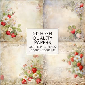 Strawberry and Daisy Digital Paper, Strawberry Digital Papers ...