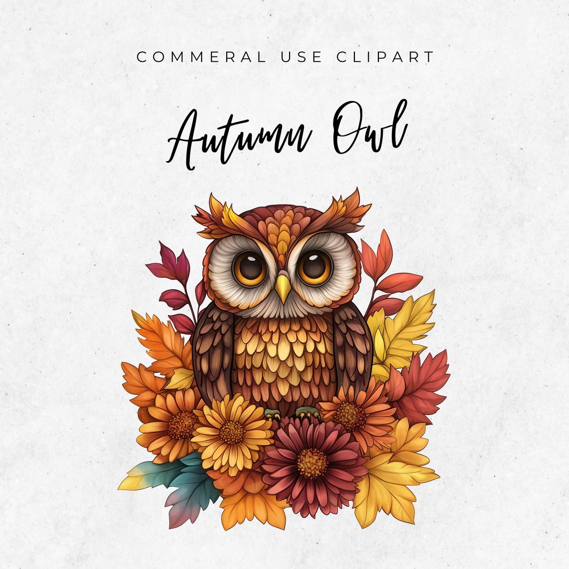 Watercolor Autumn Owl Clipart: Fall Floral PNG (digital Download) - Etsy