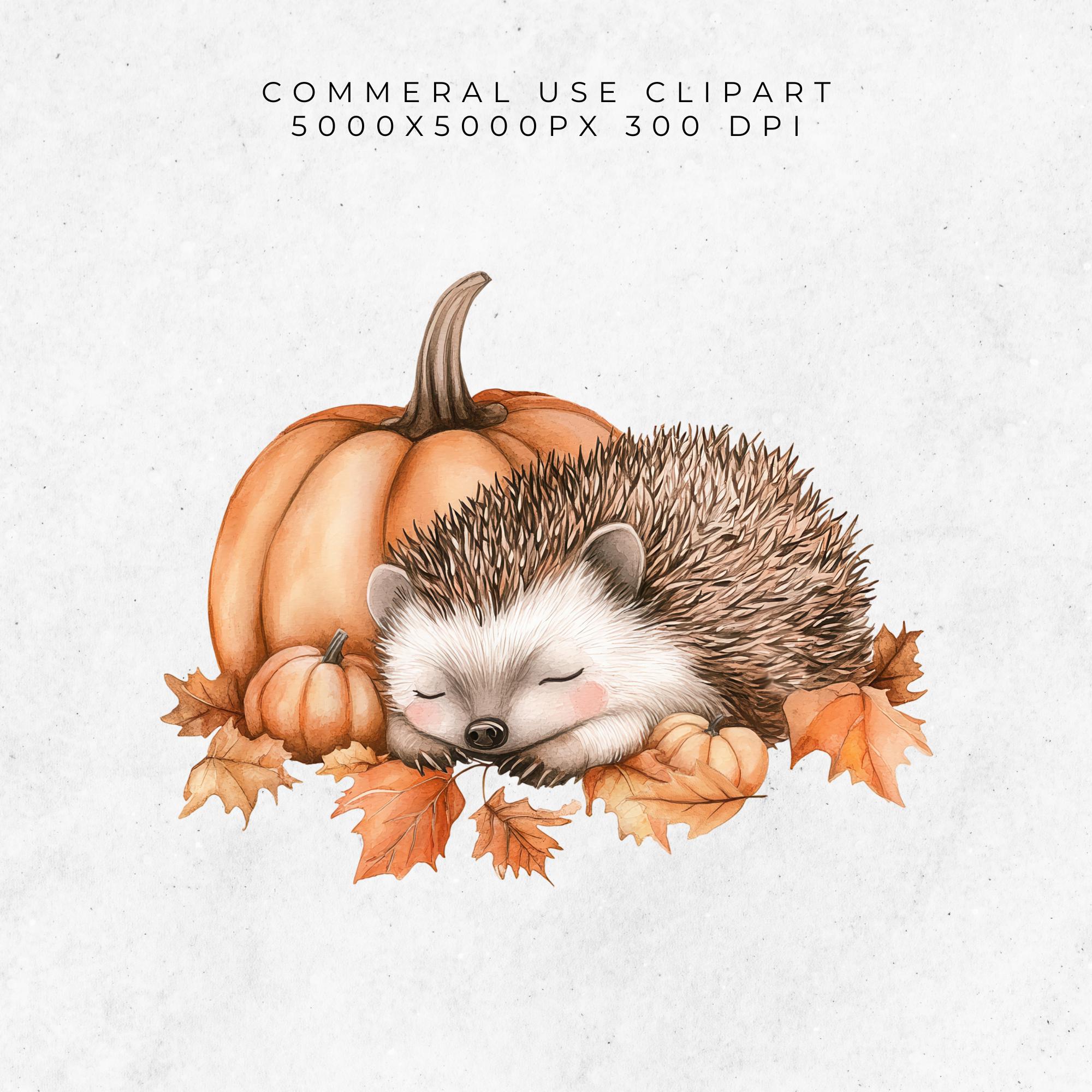 Watercolor Hedgehog Clipart: Fall Woodland Nursery Art (PNG Digital ...