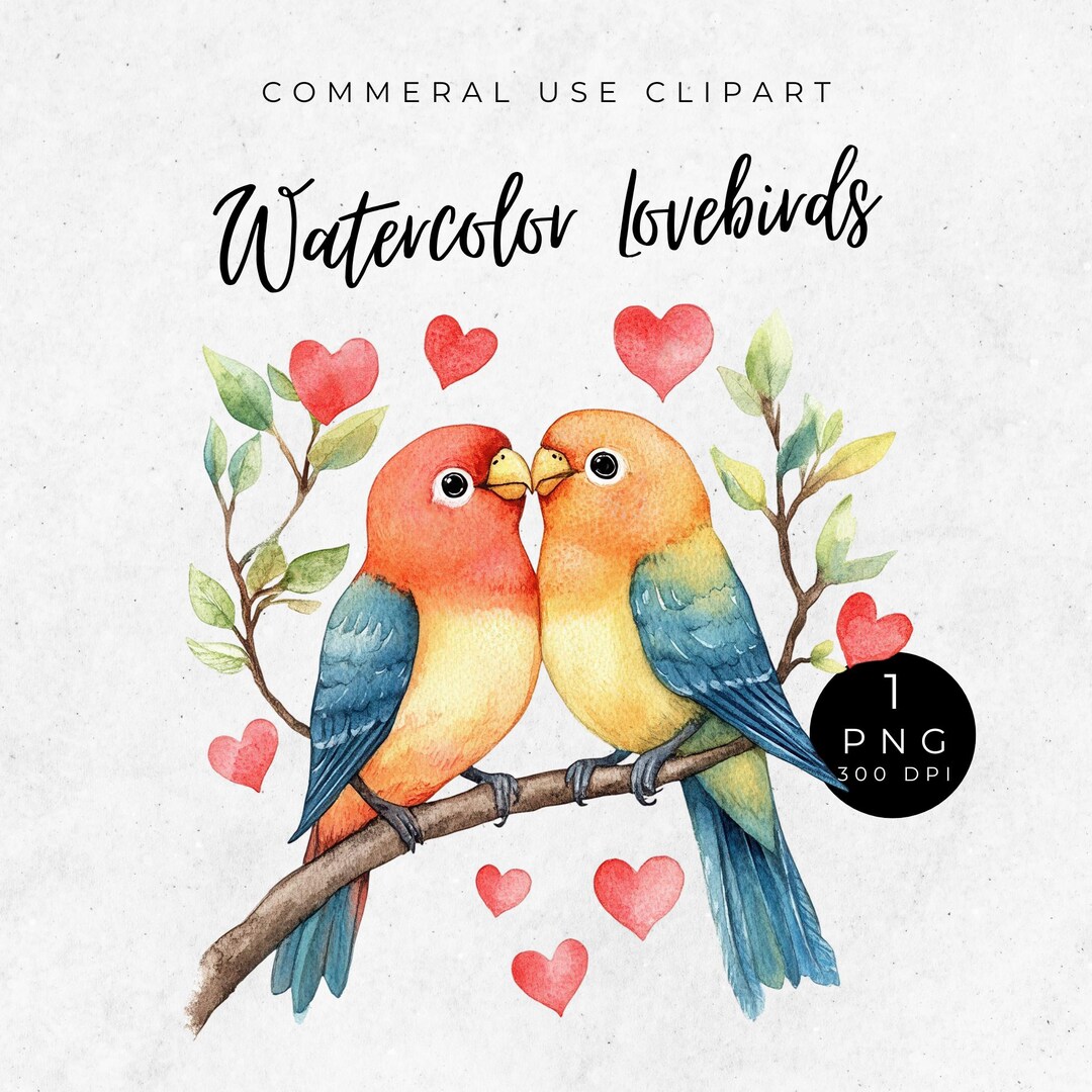 Watercolor Love Birds Clipart: Romantic PNG Art (digital Download) - Etsy