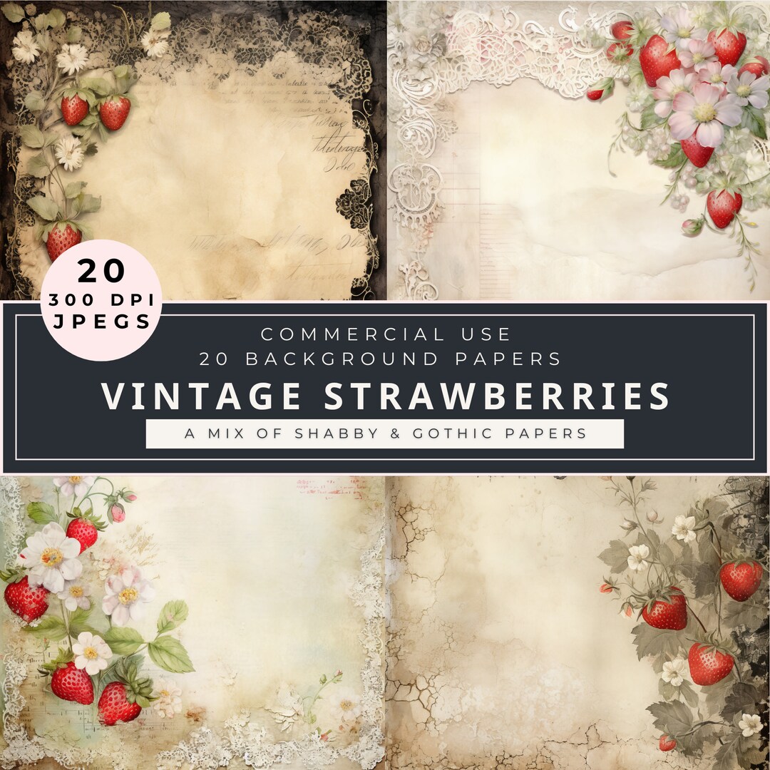 Strawberry and Daisy Digital Paper, Strawberry Digital Papers ...