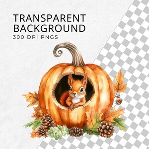 Autumn Squirrel Clipart, Watercolor Fall Animals, Cute Squirrel Clipart ...