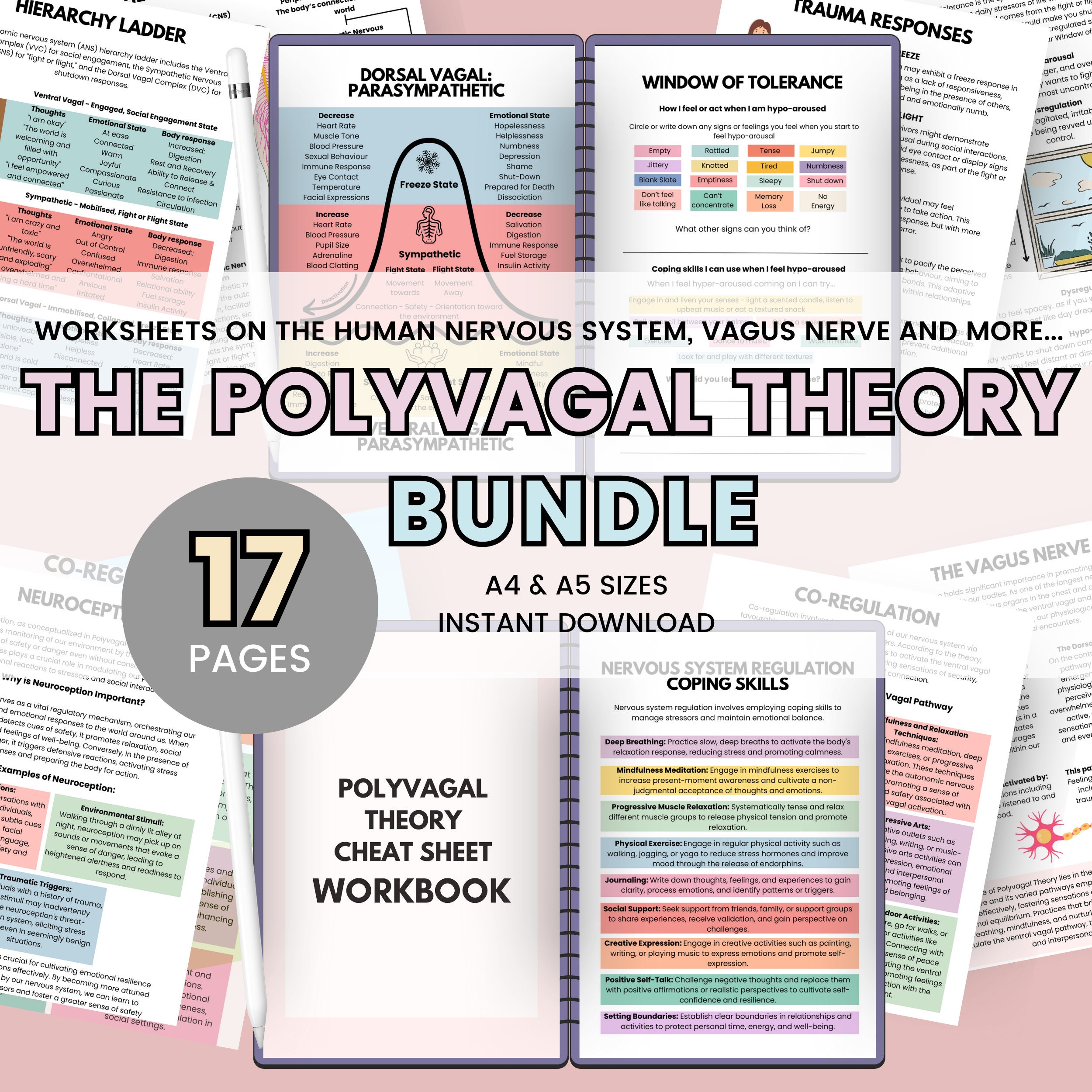 Polyvagal Theory, Regulating the Nervous System, Somatic Healing ...