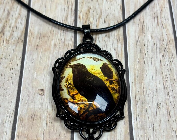 Choker Necklace, Black Bird Raven, Framed Glass Pendant, Goth Halloween ...