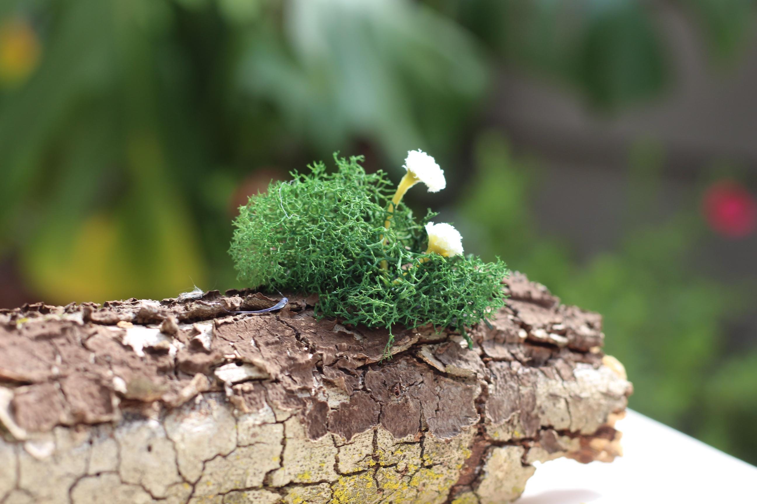 Moss Log With Delicate Faux Flowers – Natural Fairy Garden Décor - Etsy
