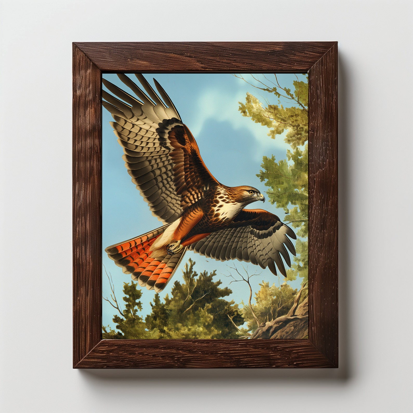 Majestic Redtailed Hawk in Vintage Retro Style - Realistic Painting of ...