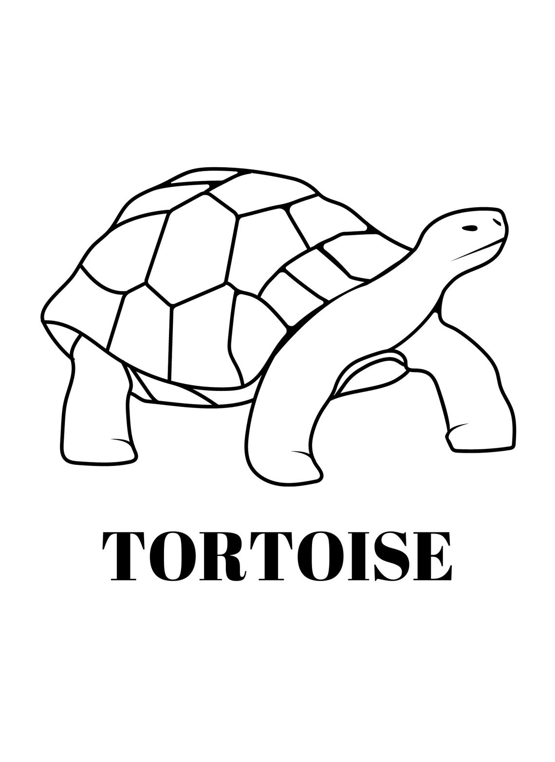 Printable Zoo Animals Coloring Pages Sheets, Digital Download Coloring ...