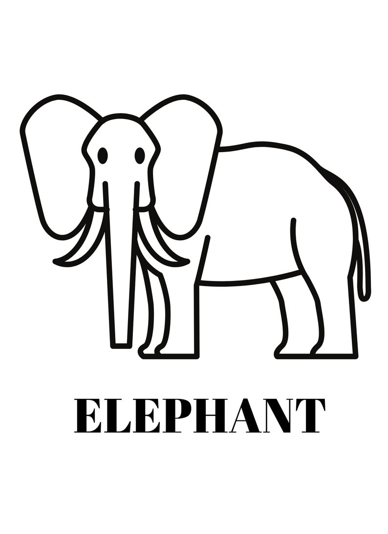 Printable Zoo Animals Coloring Pages Sheets, Digital Download Coloring ...