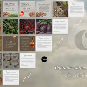 Herbalist Homeopathic Instagram Feed Content, Functional Medicine ...