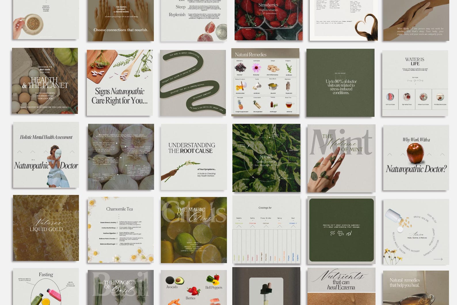 Herbalist Homeopathic Instagram Feed Content, Functional Medicine ...