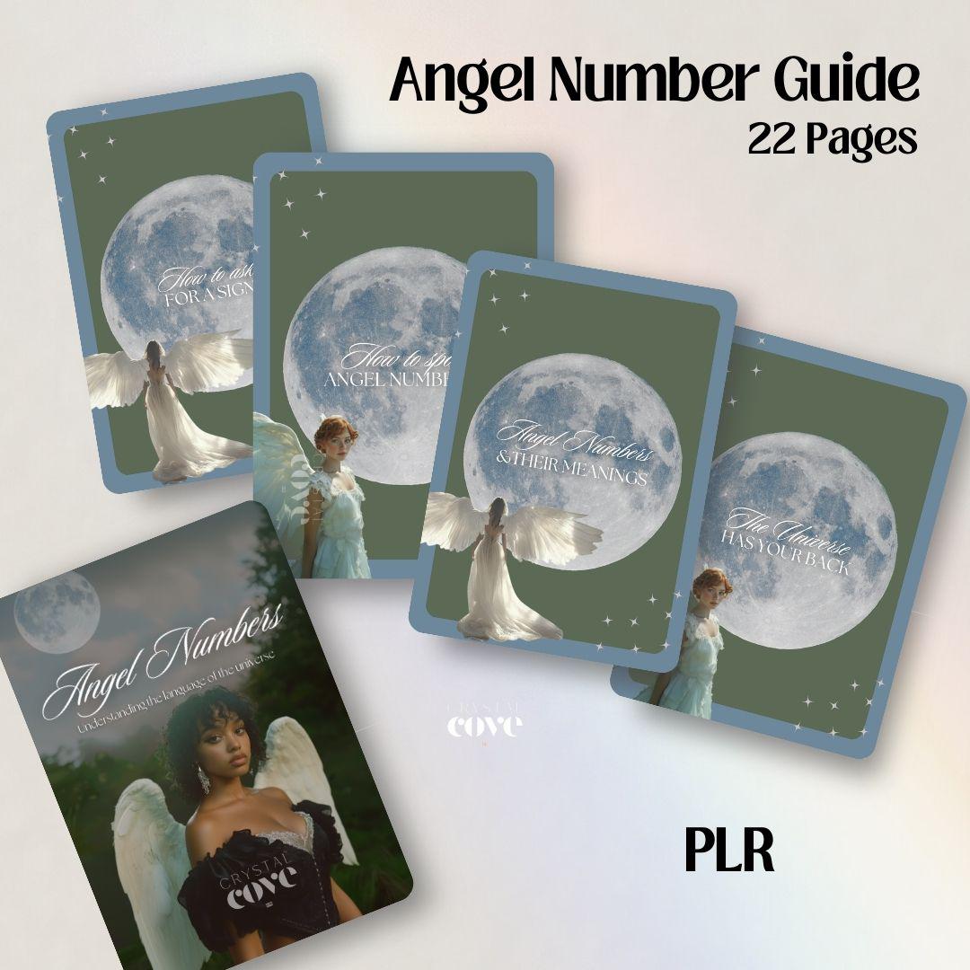 PLR Spiritual Angel Numbers Guide | Spiritual PLR Guide | Private Label ...