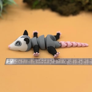 3D Printed Opossum Fidget, Sensory Toys, Cute Possum 3D Print Gift ...