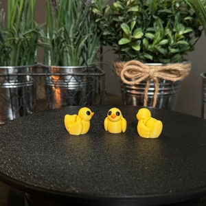 3D Printed Duck Fidget Toy, Cute 3D Print Mini Rubber Duckie Bundle ...