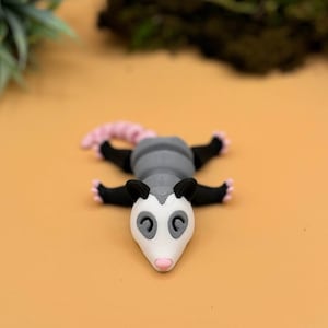3D Printed Opossum Fidget, Sensory Toys, Cute Possum 3D Print Gift ...