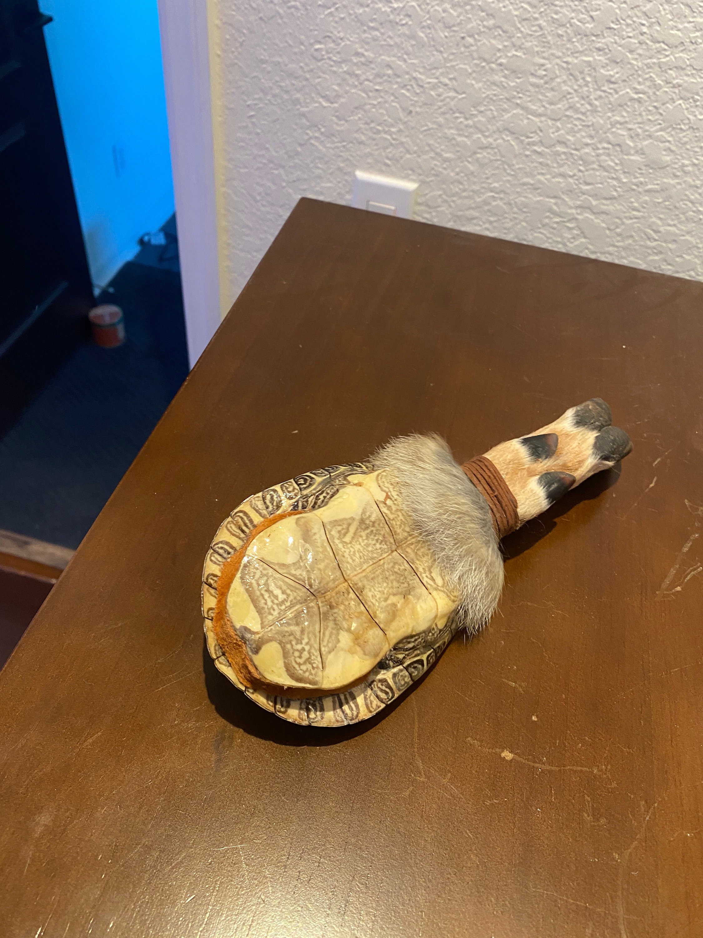 American Indian Turtle Rattle Cherokee Native - Etsy