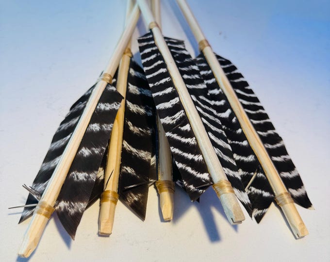A Powerful Native American Indian Set 5 Arrows Made by Enrolled Member ...