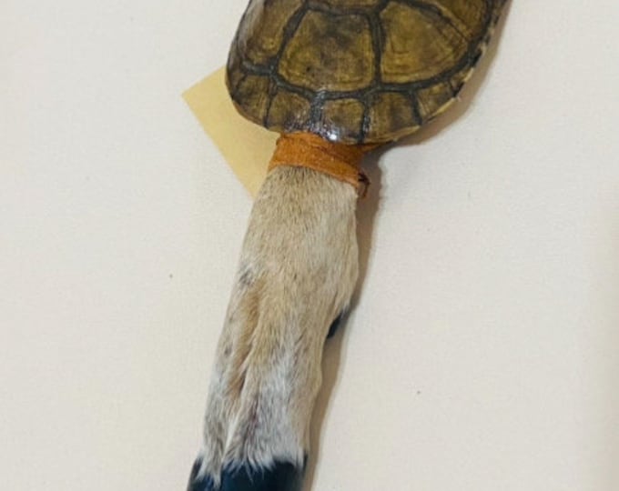 Native American Turtle Rattle 11” by Enrolled Member of Cherokee Tribe ...