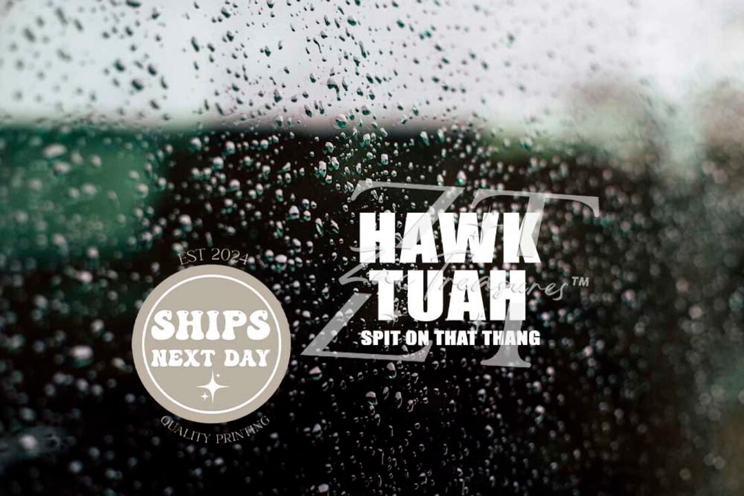 Hawk Tuah Decal - Etsy