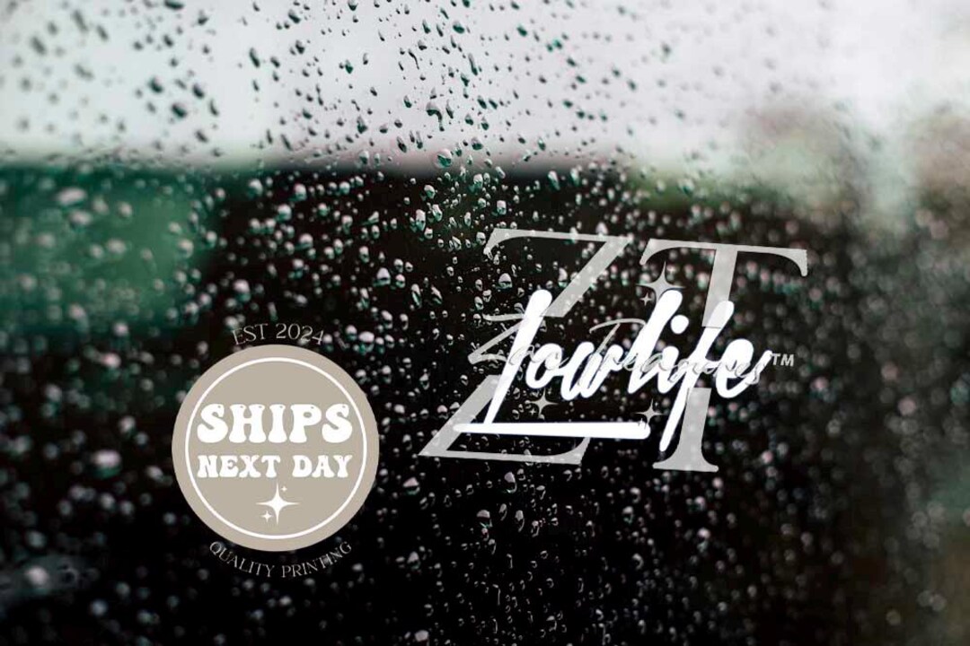 Lowlife Decal / JDM Decal / Car Decal - Etsy