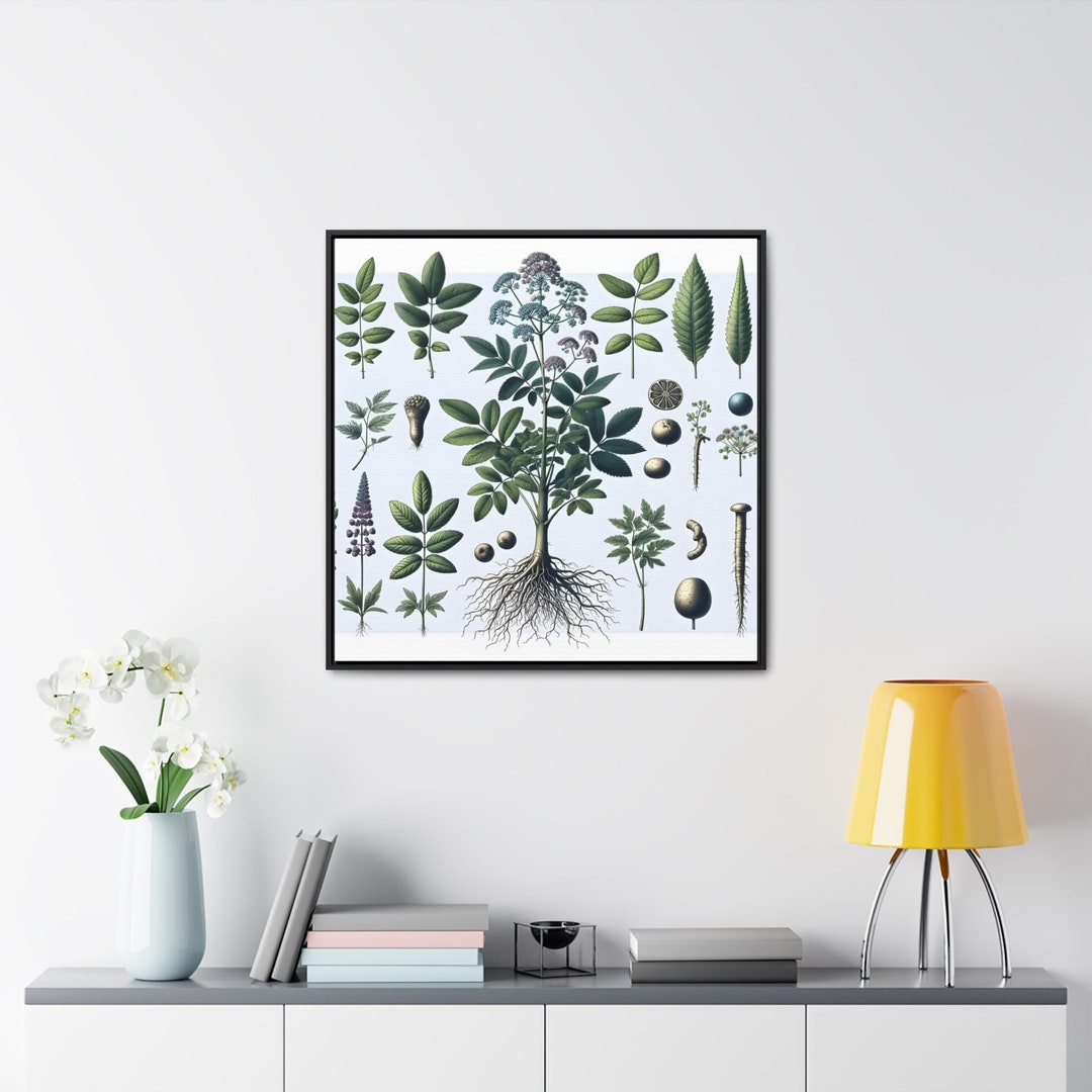 Green Botanica Canvas Wrap Frame Vintage Herbal Print Botanical Wall ...