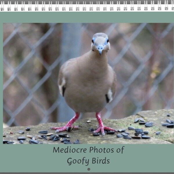 Audubon Birds - Etsy