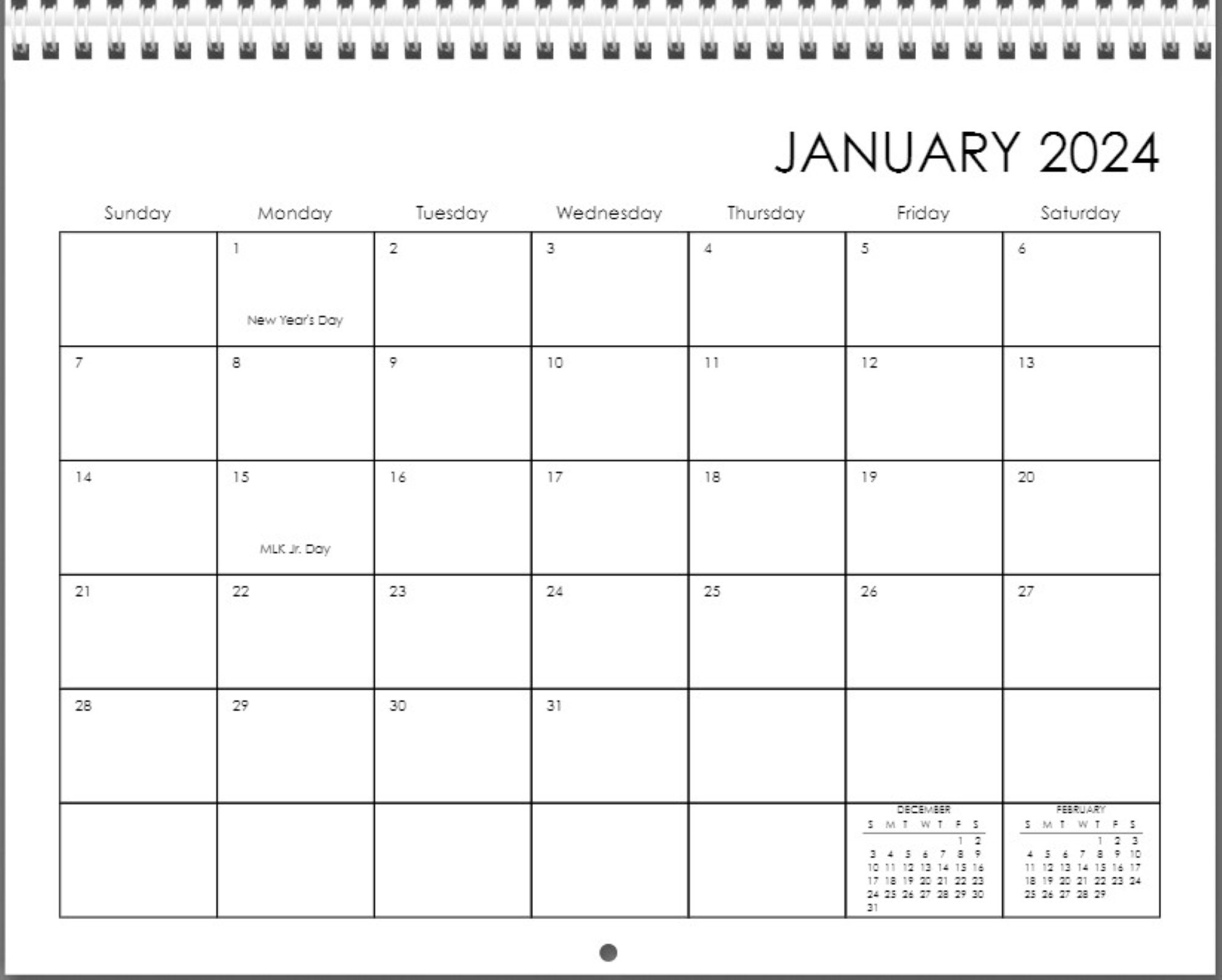 Mediocre Photos of Goofy Birds 2024 Calendar - Etsy