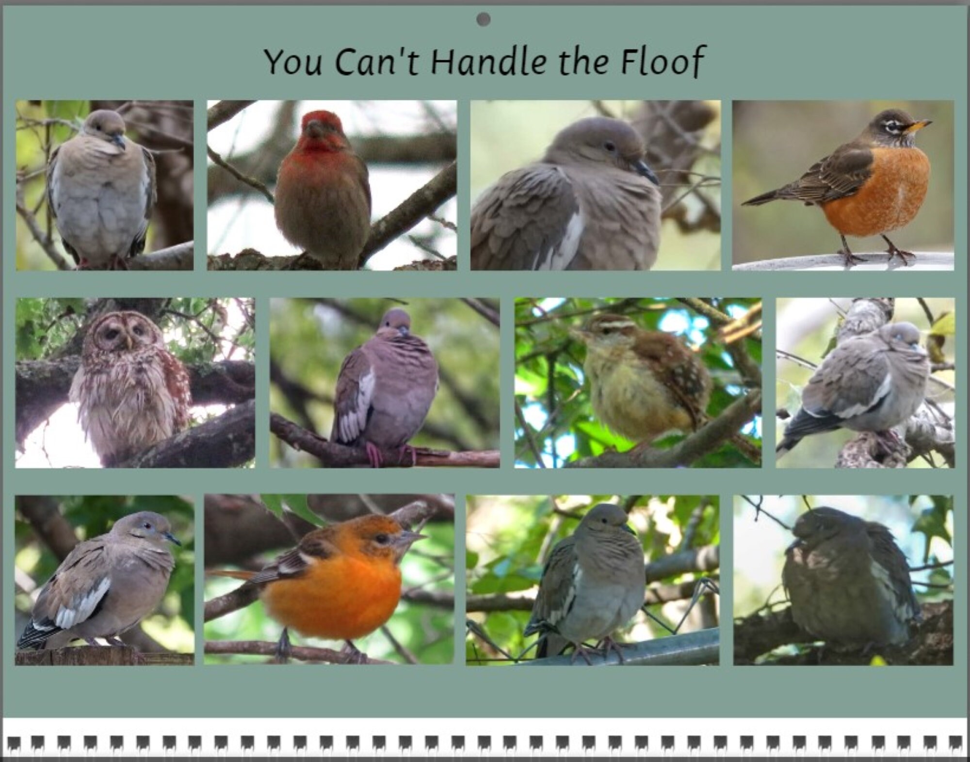 Mediocre Photos of Goofy Birds 2024 Calendar - Etsy