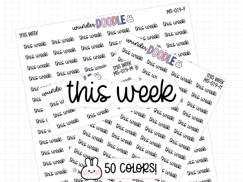 This Week Planner Stickers MS-019 Font MS Functional Stickers - Etsy