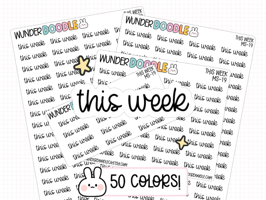 This Week Planner Stickers | MS-19 | Font MS | Functional Stickers - Etsy