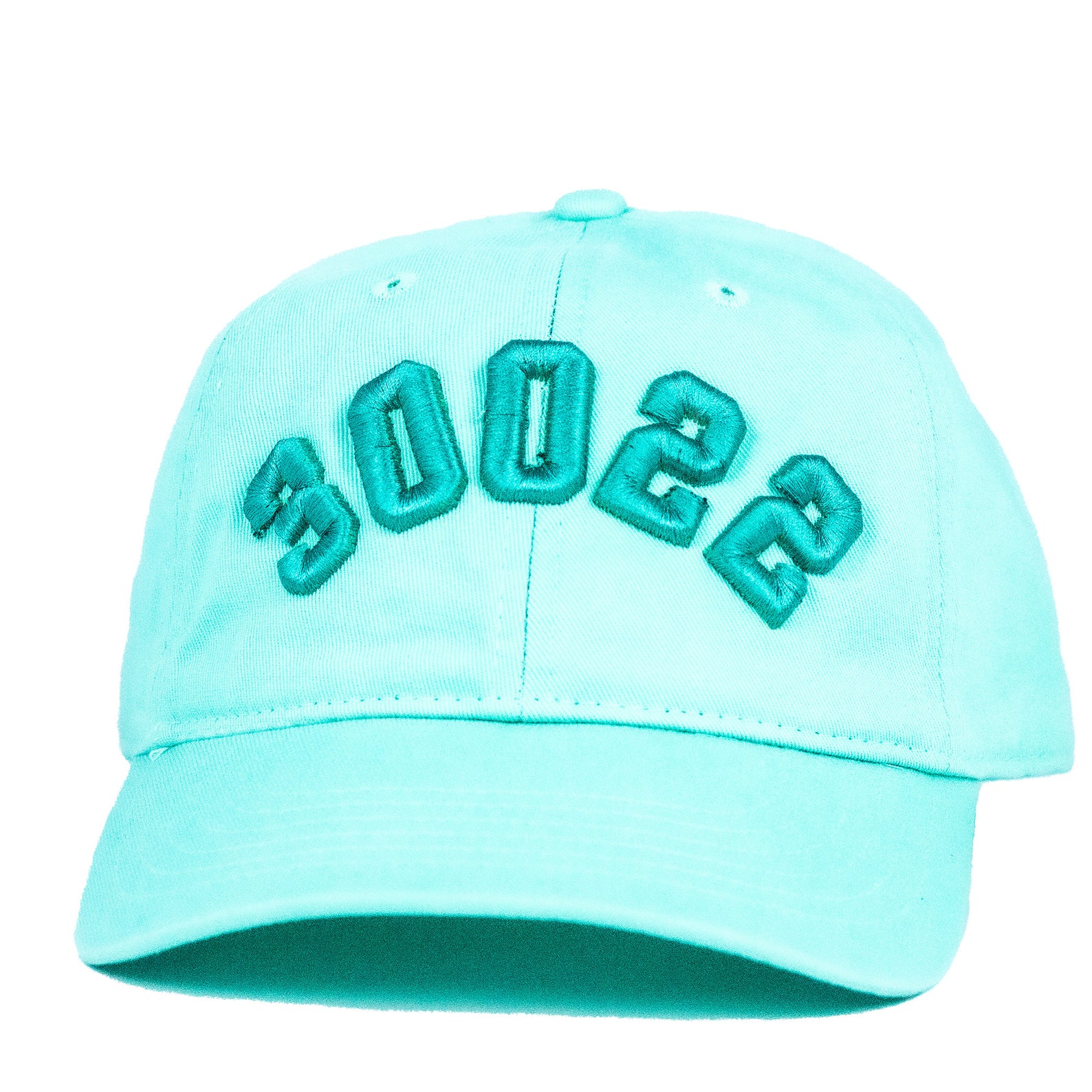 CUSTOMIZED - Mint - 3D Puff - Area Code Hat - Zip Code Hat - Unstructured - Etsy