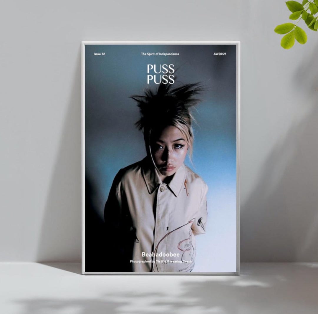 Beatopia Beabadoobee Album Cover Music Poster Wall Art for Bedroom ...