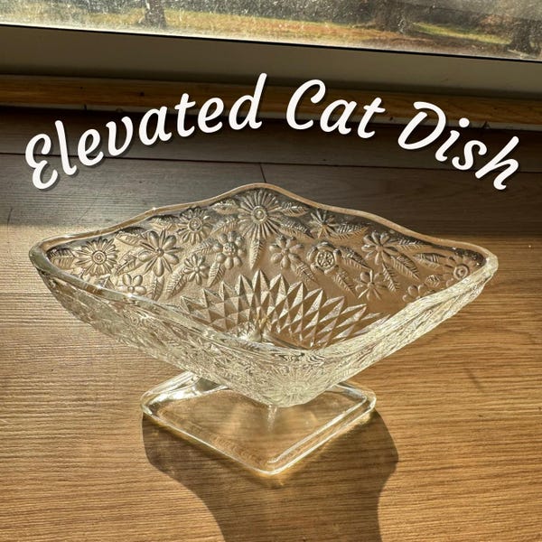 Fancy Cat Bowl - Etsy