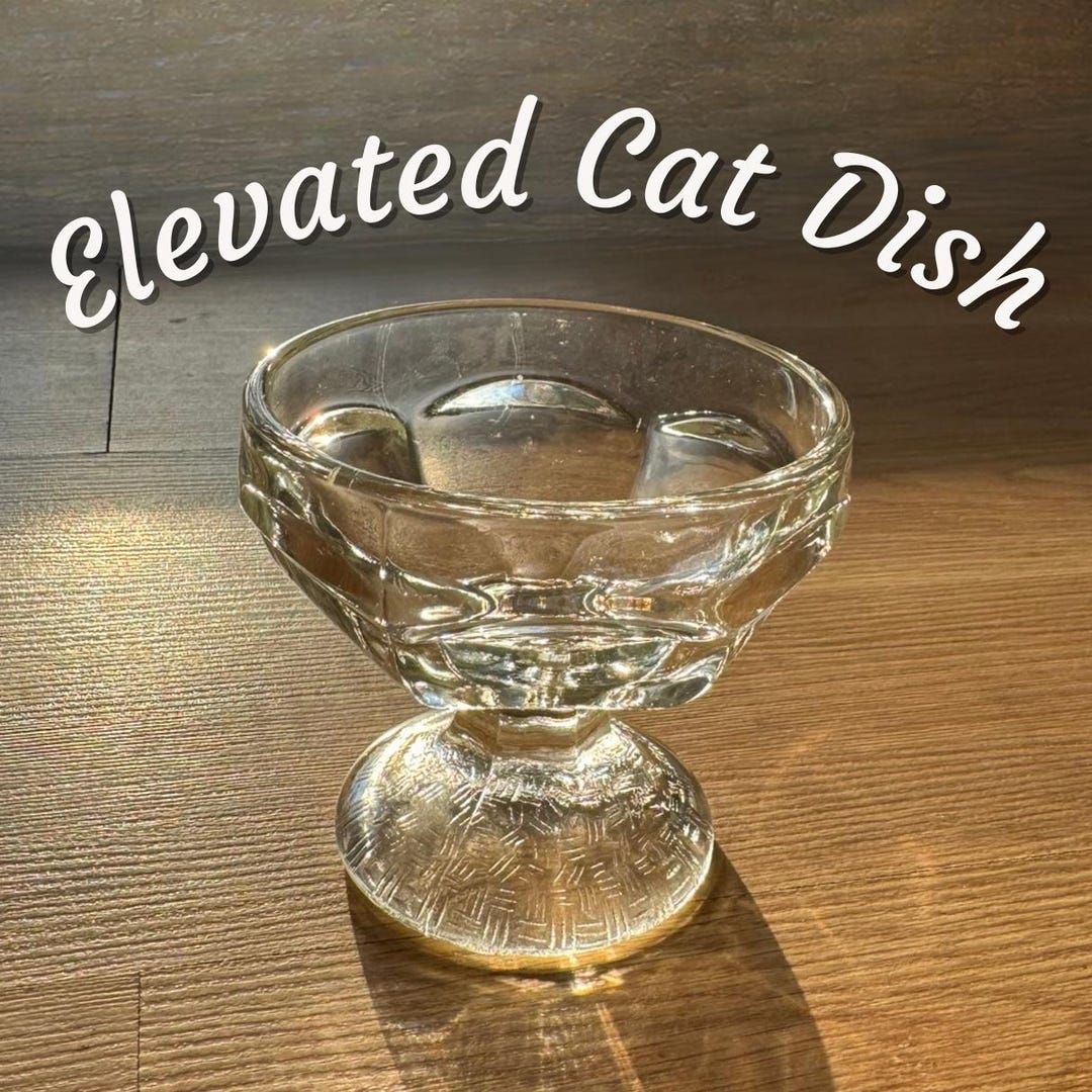 Elevated Glass Cat Water Bowl – Small Whisker-friendly Dish, Compact ...