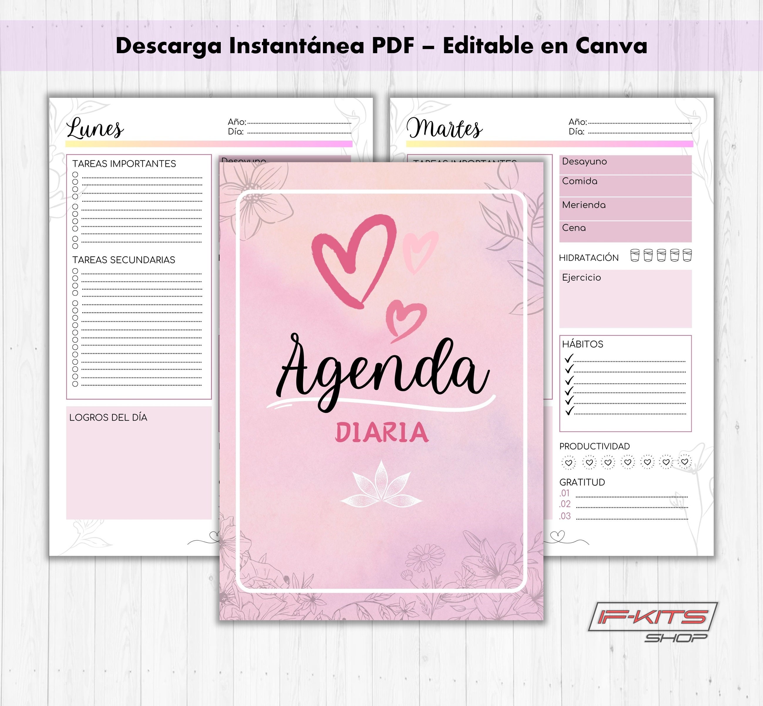 Printable Daily Agenda, Editable in Canva, One Day per Page, A4 PDF ...