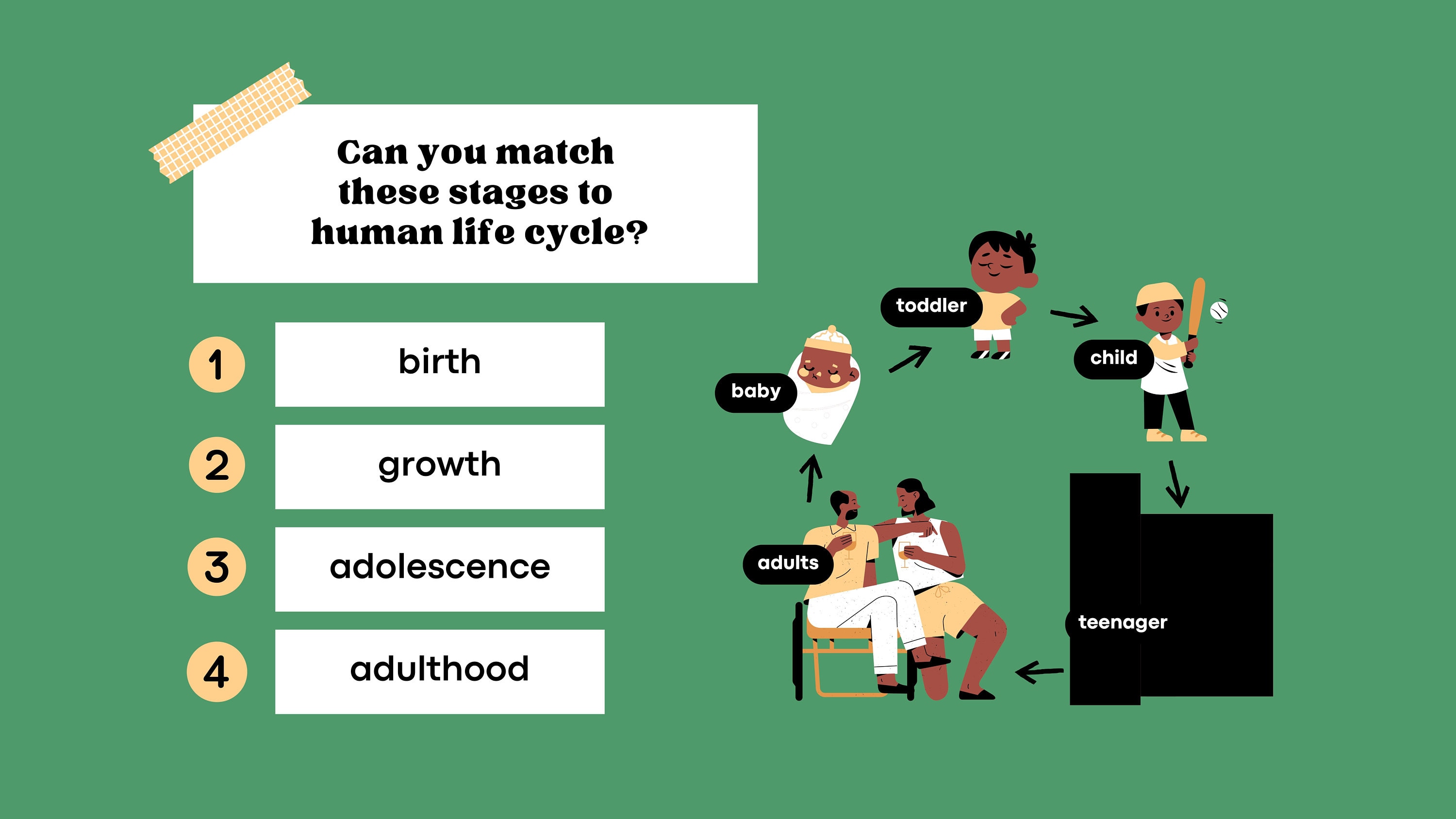 Life Cycles of Humans and Animals Presentation - Etsy