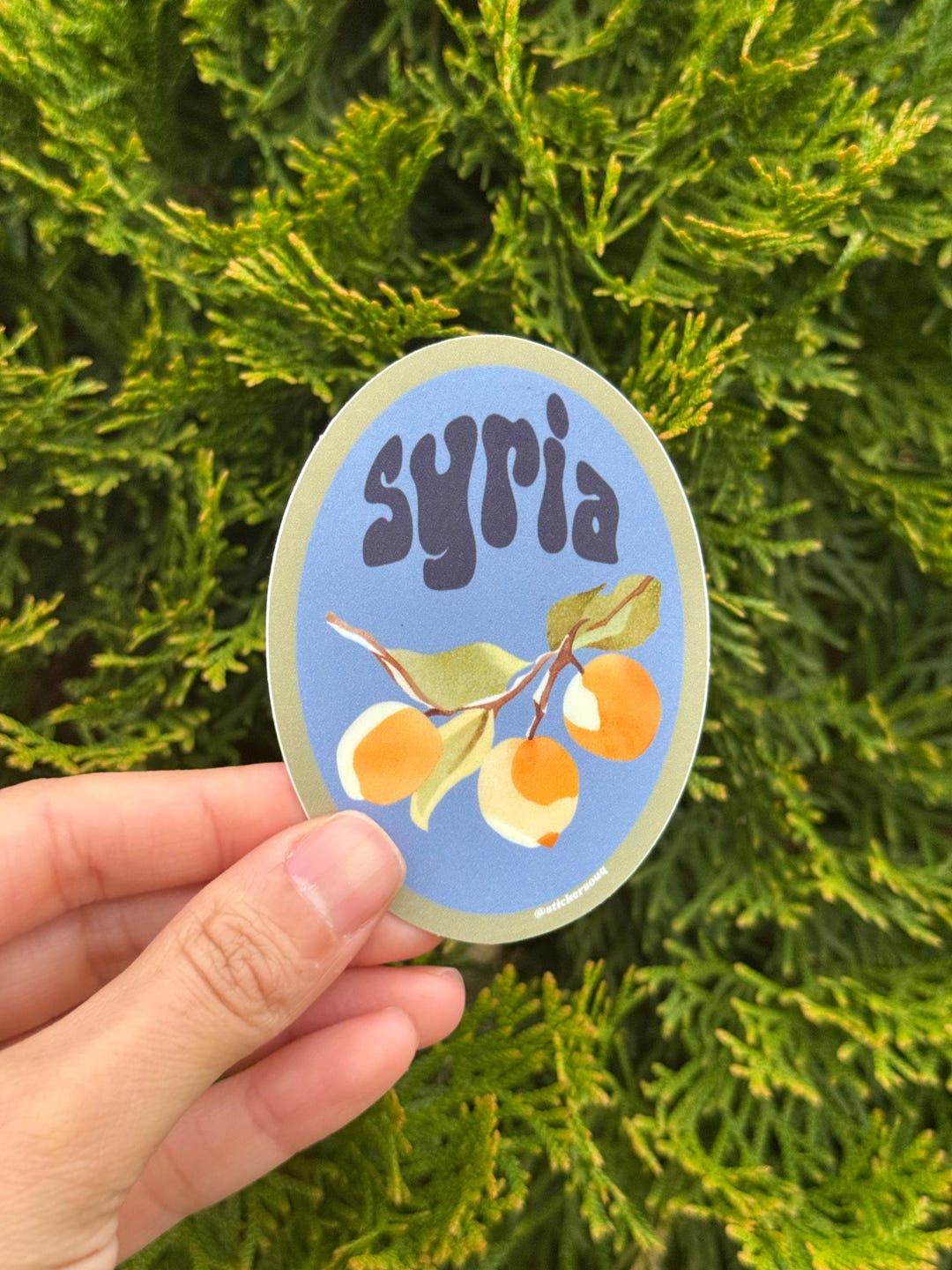 Syria Fruit Sticker, Fruit Sticker, Syria Sticker - Etsy