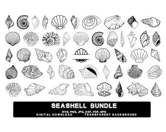 Seashell SVG Bundle, Seashell PNG Bundle, Seashell Clipart, Seashell ...