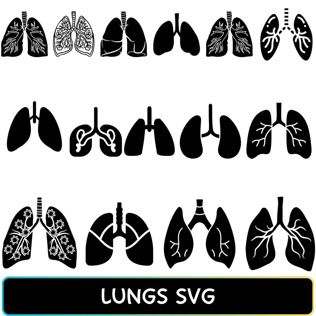 Lung Svg, Lungs Svg, Respiratory System Svg, Pulmonology Svg, Bronchial ...
