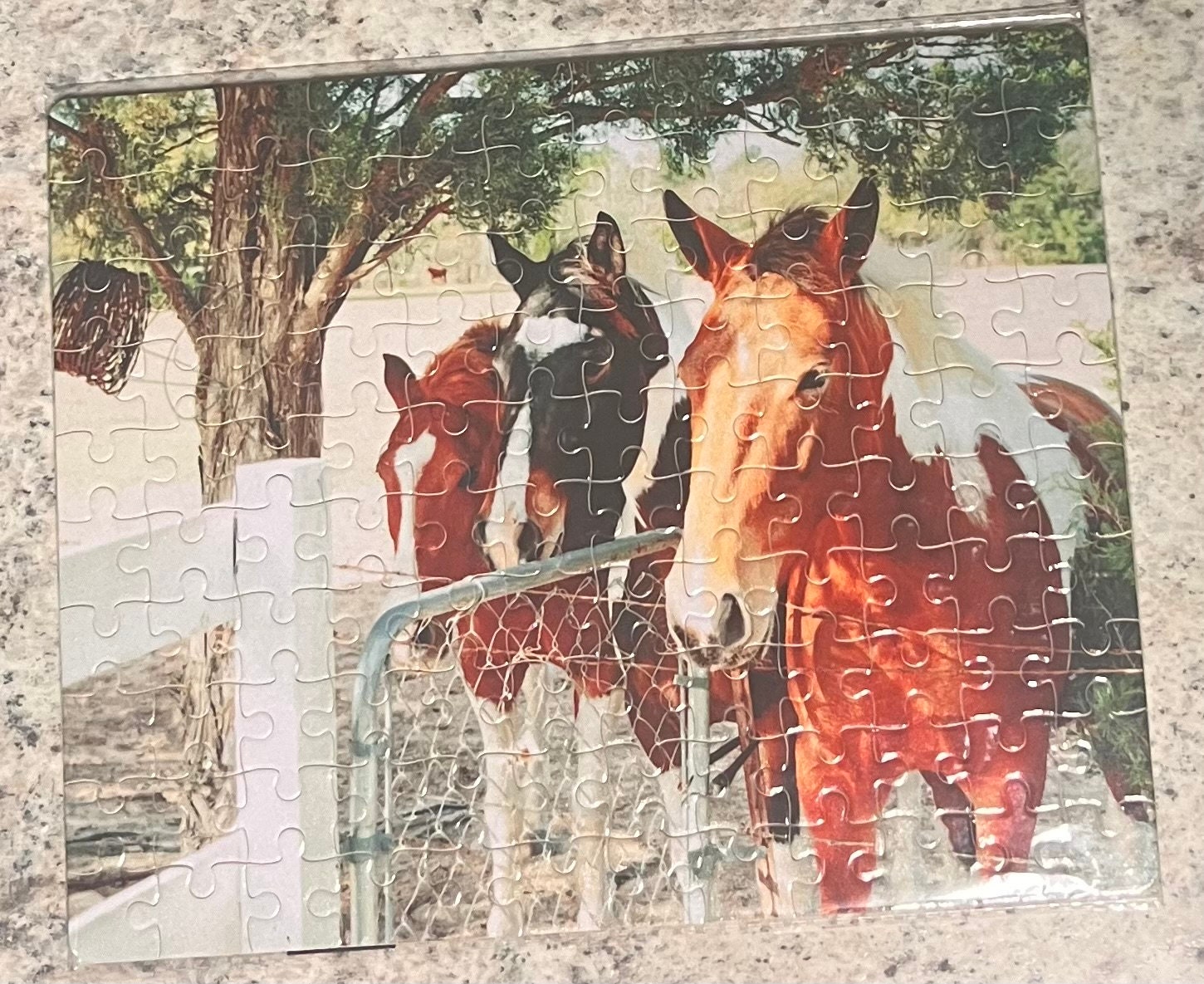 Custom Photo Puzzle Personalized Photo Puzzle 120 Pieces Customizable ...