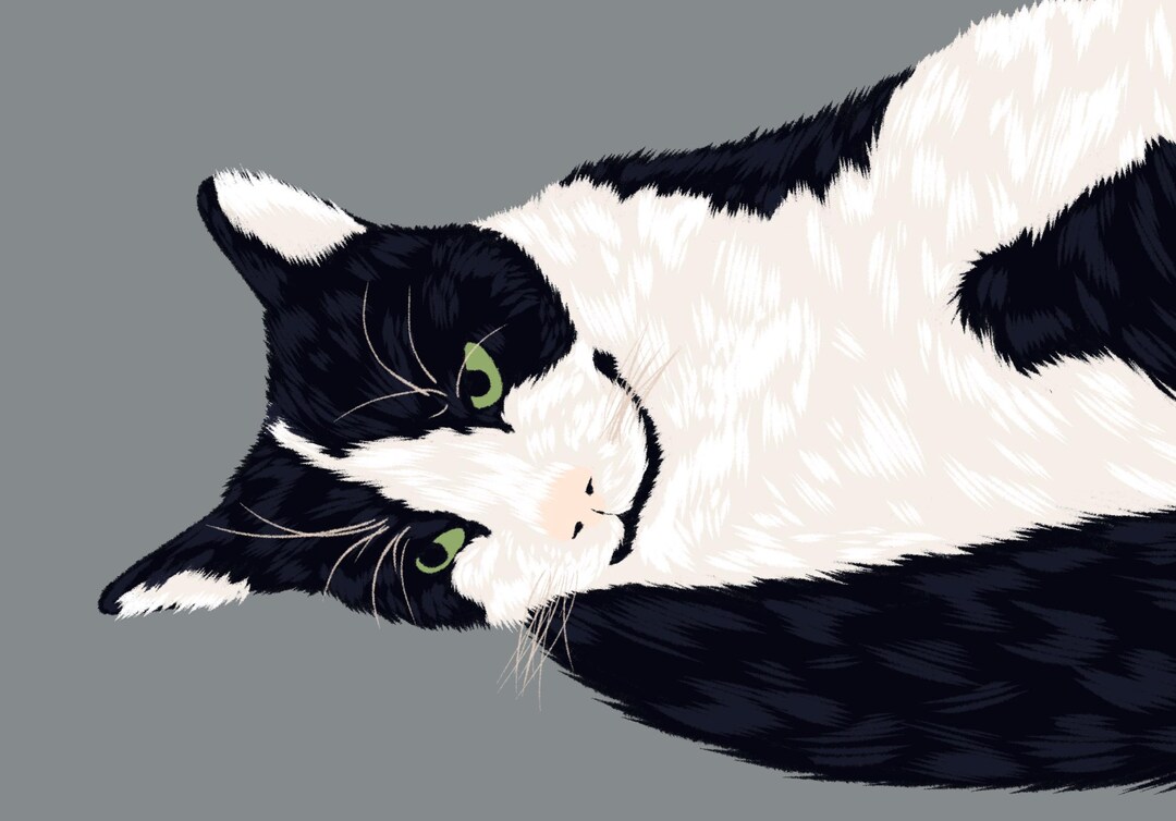 Vector Pet Portrait - Etsy