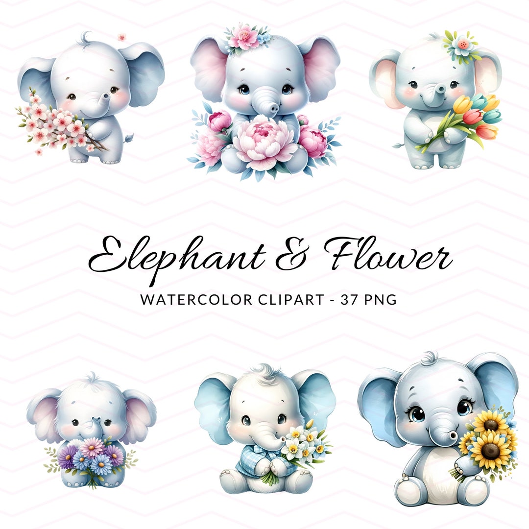 Floral Elephant Clipart Collection - Watercolor Baby Elephants With ...