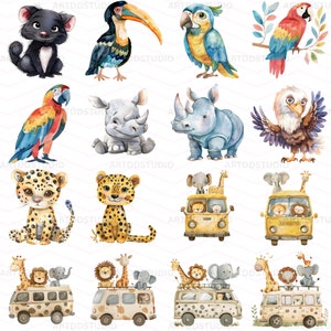 Safari Animal Watercolor Clipart - Watercolor Jungle Friends PNG Set ...