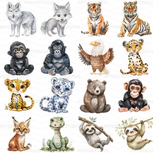 Safari Animal Watercolor Clipart Watercolor Jungle Friends PNG Set ...
