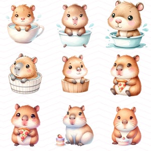 Cuddly Capybara Clipart Collection - Cute Watercolor Capybaras PNG ...