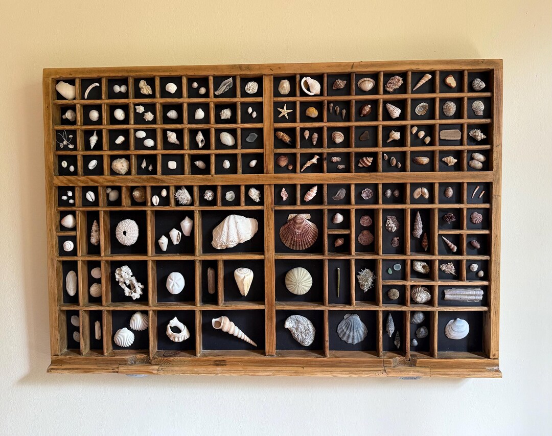 Antique Printing Box With Natural Shells and Sea Pebbles - Etsy